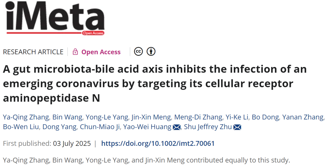 iMeta | 黄耀伟/朱书组-解析脆弱拟杆菌通过胆盐水解酶调控石胆酸代谢拮抗猪丁型冠状病毒感染的机制-CSDN博客