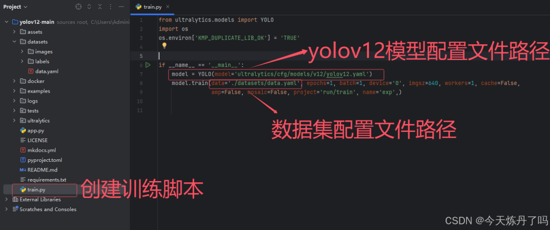 YOLOv12 微调示例_yolo自建数据集进行微调-CSDN博客