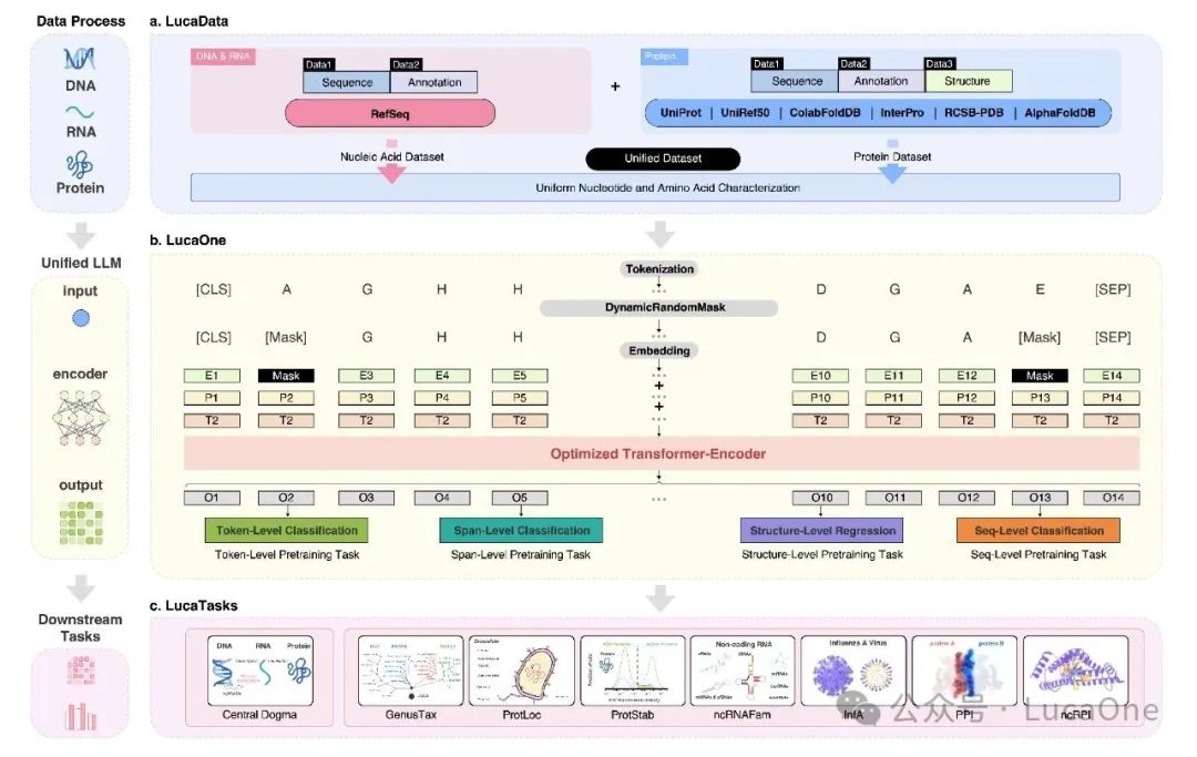 Luca系列又一力作：LucaOne登上国际顶级期刊Nature Machine Intelligence-CSDN博客