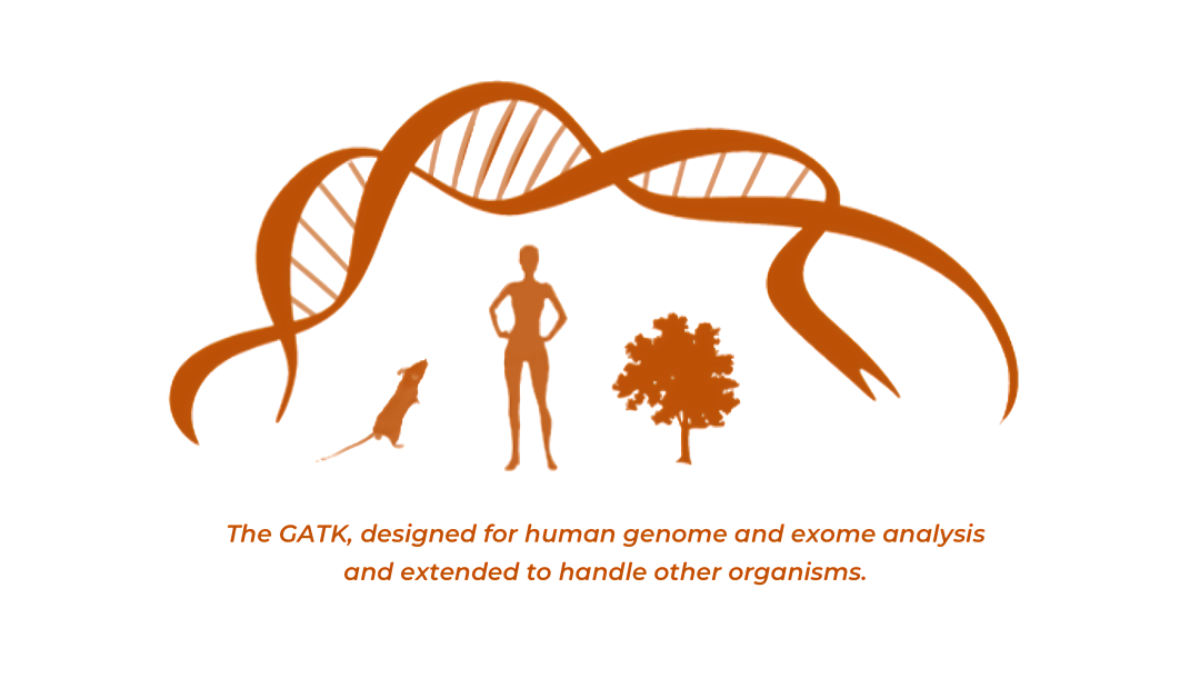 GATK官方教程 / 概述及工作前的布置-CSDN博客