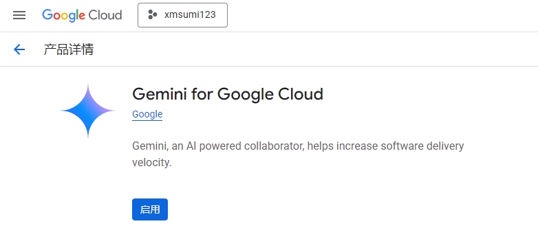 Gemini Cli及gemini code assist配置使用-CSDN博客