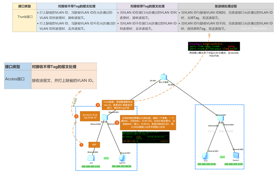当一个数据帧在经过Access、trunk链路的时候分别经历了什么样的过程？_trunk接口发送数据帧和接收数据帧的过程-CSDN博客