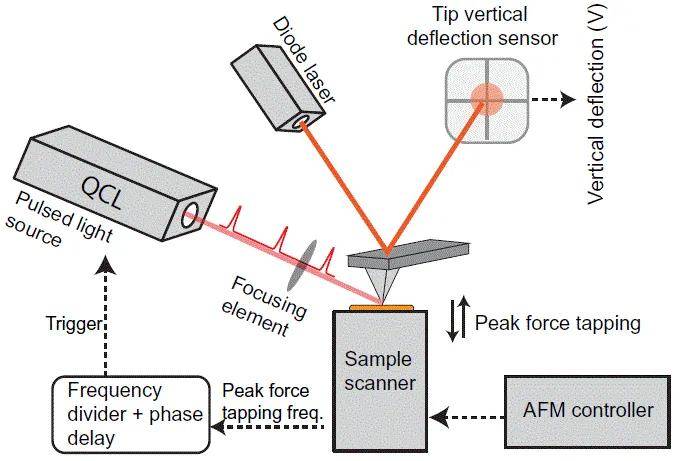 揭开材料表面神奇的“面纱”：原子力显微镜-红外光谱（AFM-IR）技术一探究竟 _afm-ir可以分析纤维表面吗-CSDN博客