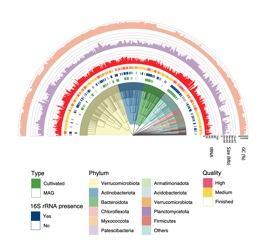 BiB | 浙大蒋超组开发iPhylo平台推动生物与化学分类学的整合分析-CSDN博客