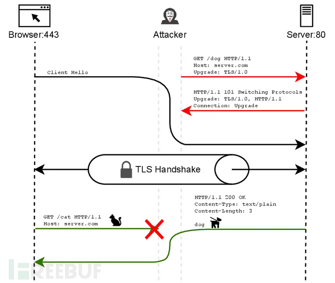 负鼠攻击：新型漏洞威胁TLS加密连接，可实施中间人攻击与数据注入_tls-attack-CSDN博客
