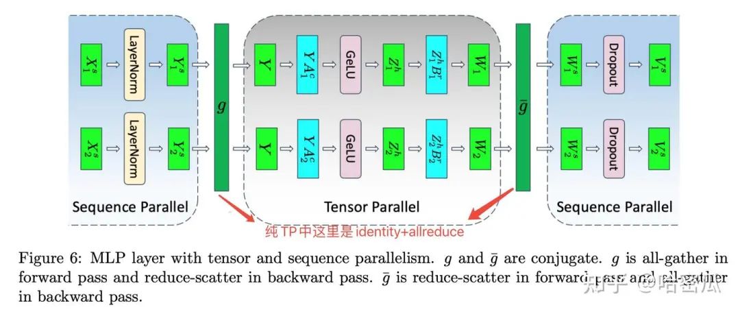 理解大模型训练并行技术：DP/TP/PP/SP/EP_大模型sp-CSDN博客