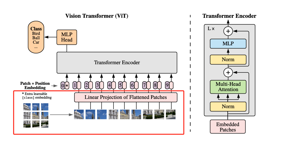 手把手教你实现PyTorch版ViT：图像分类任务中的Transformer实战_vit实战-CSDN博客