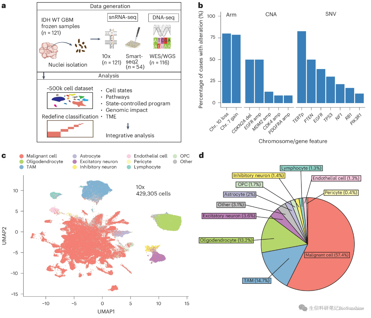 Nature Genetics (IF 29.0) 胶质母细胞瘤生态系统的多层转录结构_the multilayered transcriptional architecture of g ...
