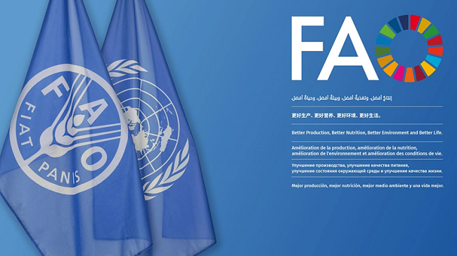 我知道的联合国粮食及农业组织（FAO）-万祥军 | 联合国粮农组织-CSDN博客
