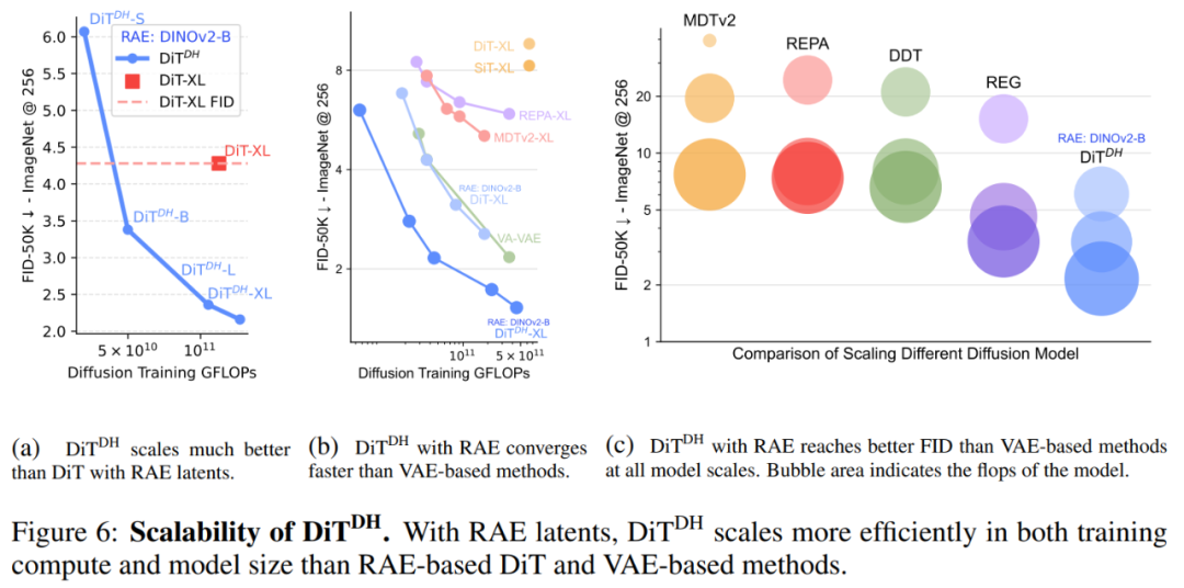 终结VAE？谢赛宁团队「RAE」登场！表征自编码器或成DiT训练新基石-CSDN博客