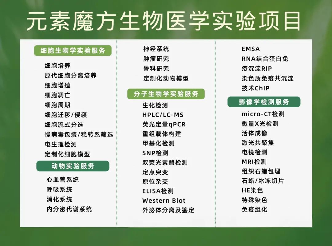 生物实验 | 一文读懂micro-CT检测-CSDN博客