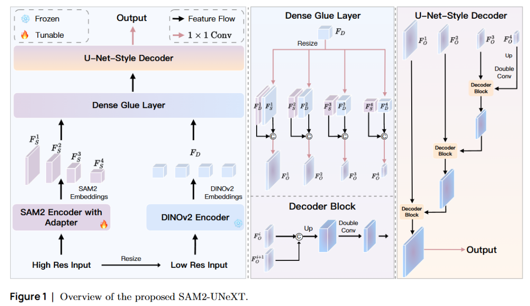 SAM2‑UNet 作者团队再出击！SAM2‑UNeXT 打造高分辨率分割新标杆_sam2-unext-CSDN博客
