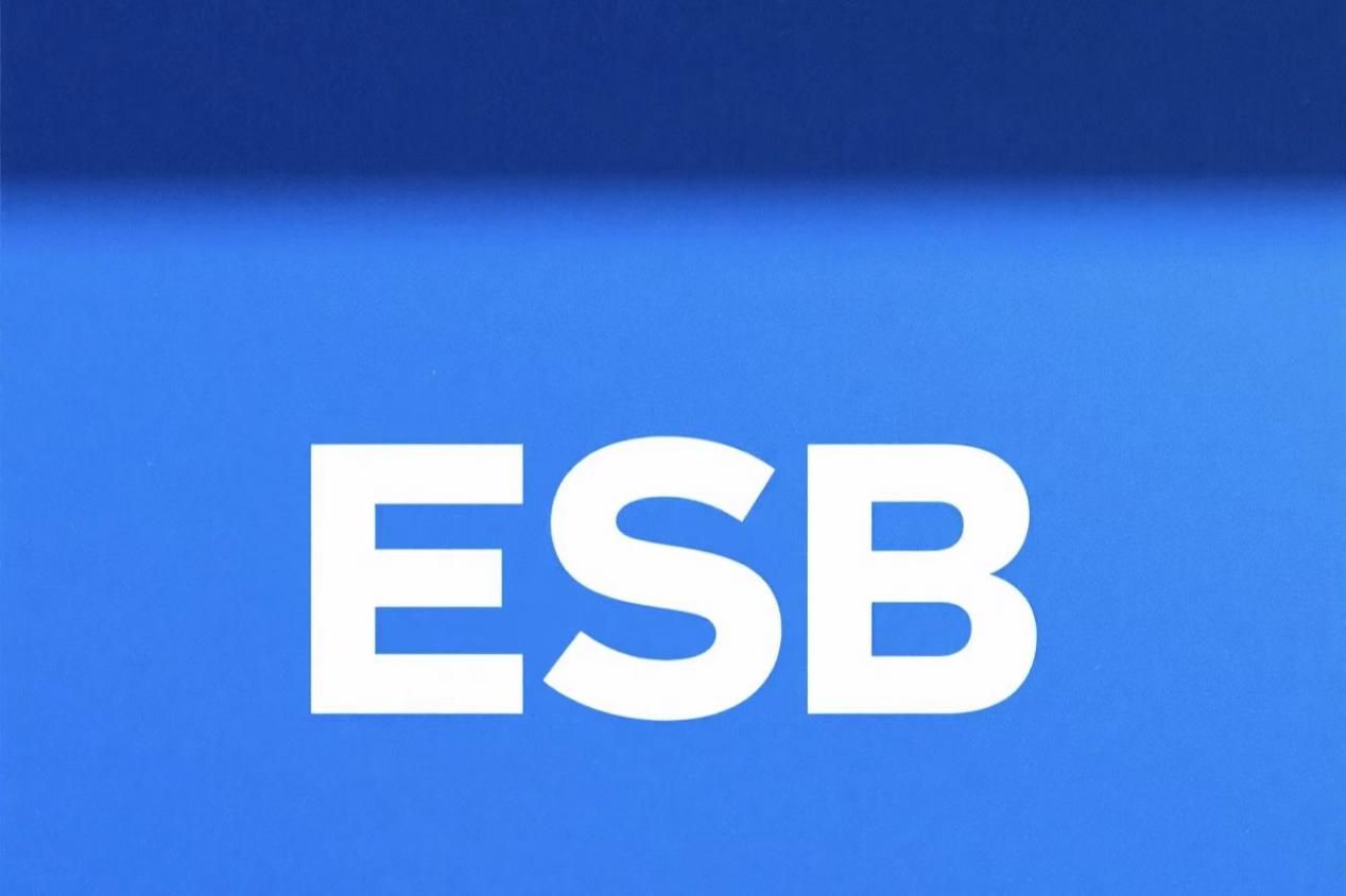 国内值得推荐的ESB厂商_esb 厂商-CSDN博客