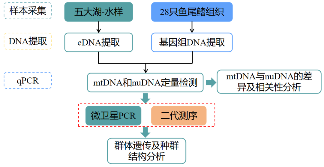 PNAS | eDNA 技术在入侵生物研究中的突破性应用-CSDN博客