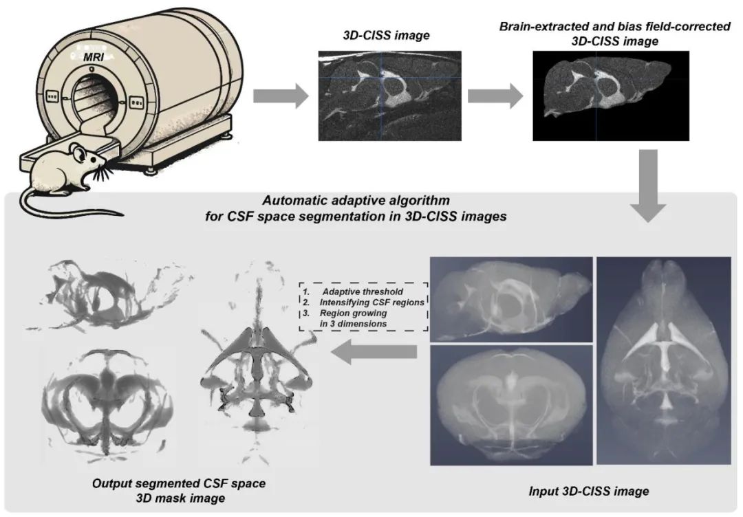 Bio-protocol | 近一年“生物信息”实验方案合集-CSDN博客