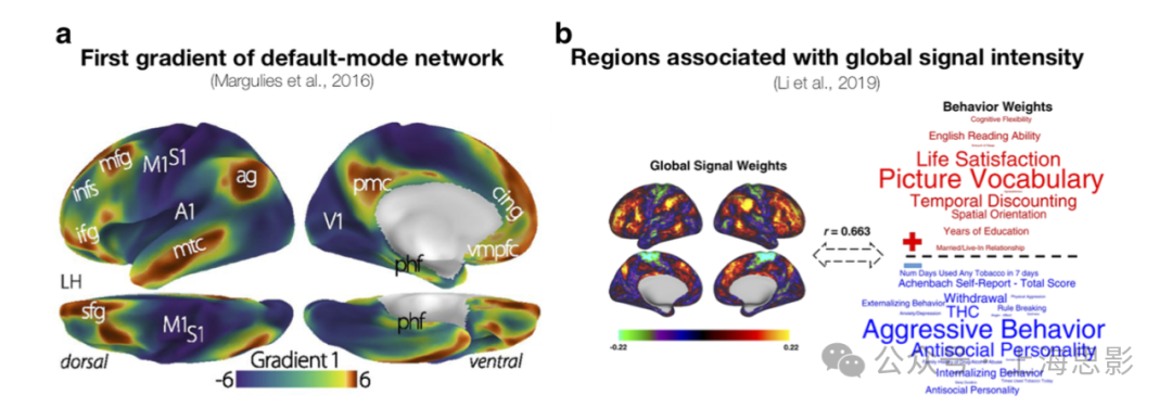利用开放的神经影像数据集来理解大脑_ppmi数据集-CSDN博客