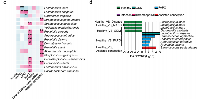 中国孕妇阴道微生物组研究揭示Lactobacillus iners的新特性-CSDN博客