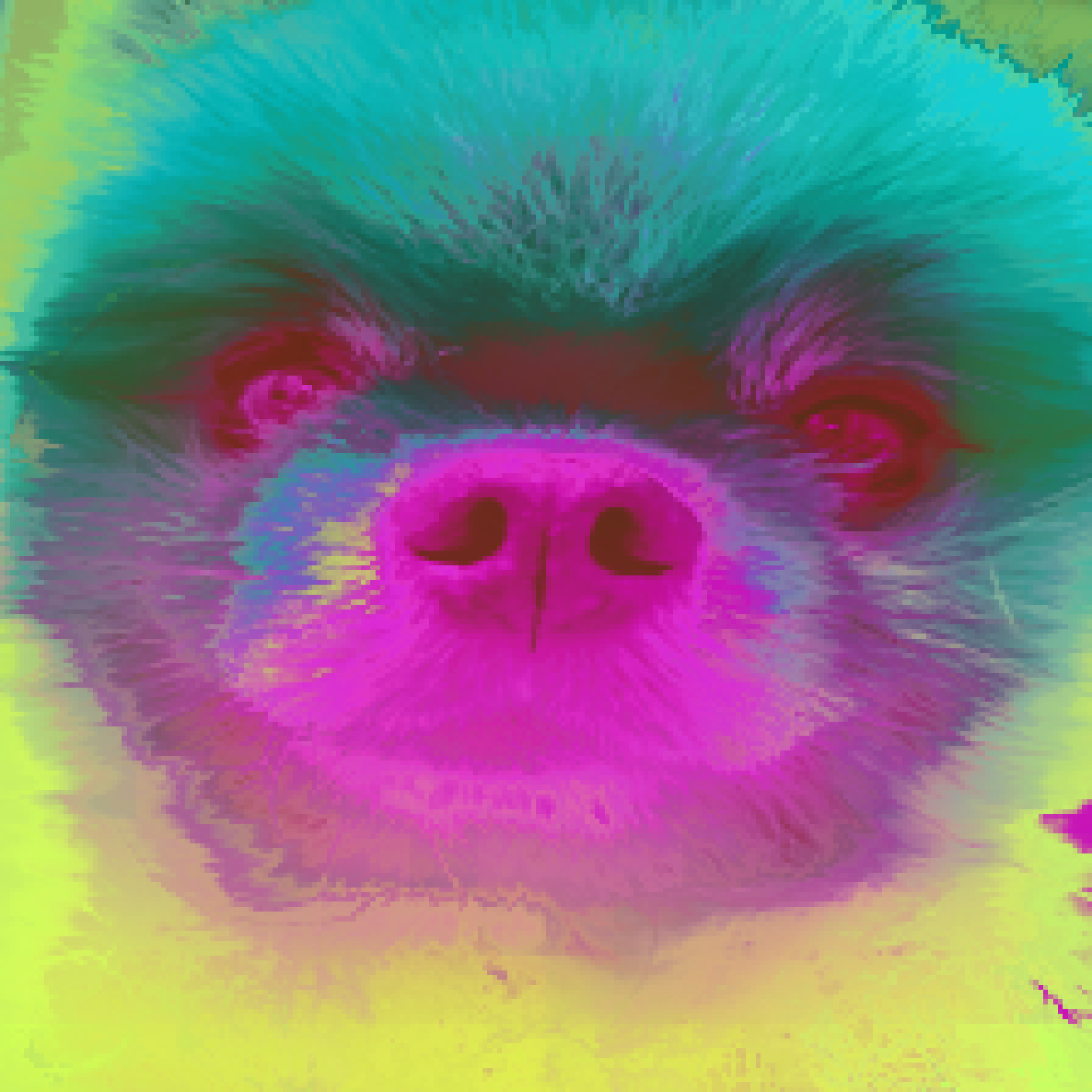 上采样方法Upsample Anything实验复现-CSDN博客