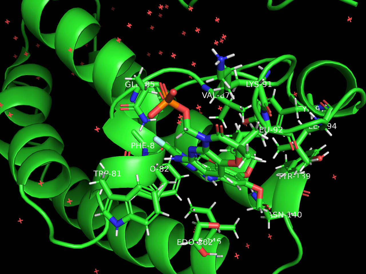 pymol-FAQs-5：_pymol怎么显示氨基酸的名字-CSDN博客
