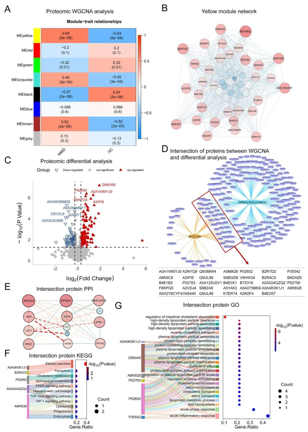 成功案例|WGCNA+ROC+PPI！多维度分析揭秘烟雾病与铁死亡的分子网络-CSDN博客