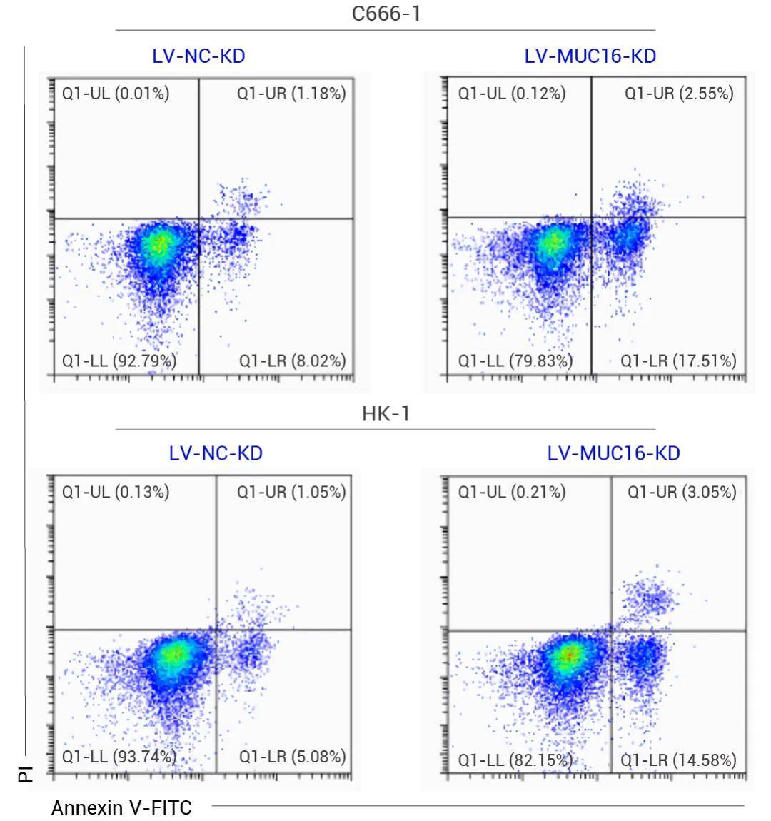 细胞凋亡的流式检测？实验步骤+结果解读，速戳！ | MCE_jc-1流式-CSDN博客