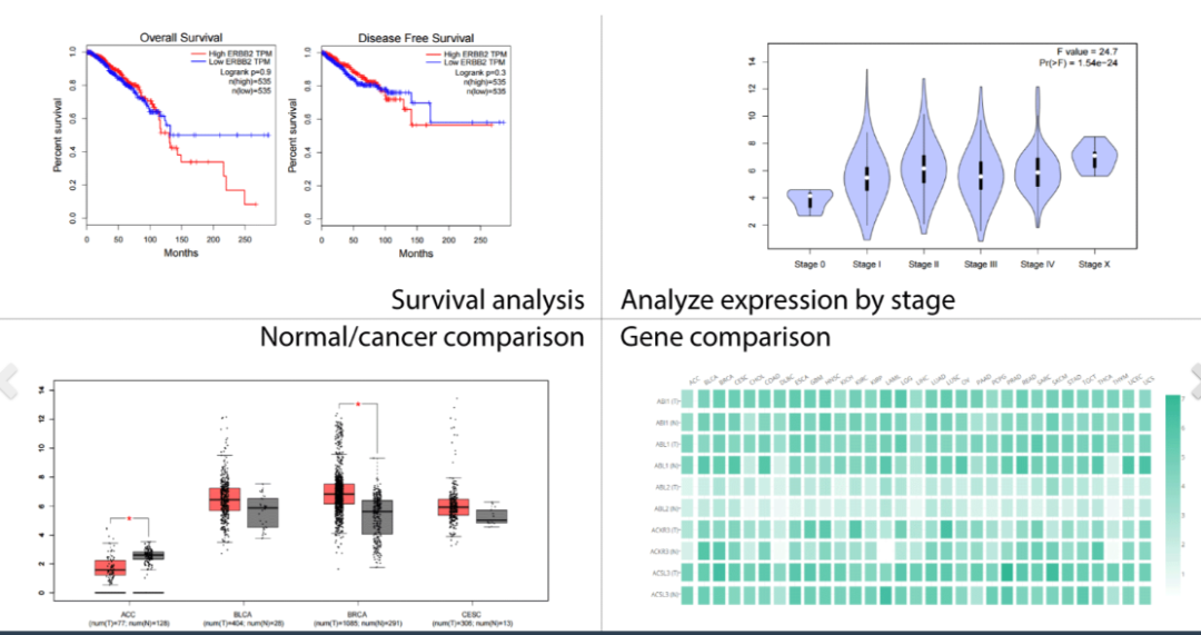 RNA 51.轻松搞定TCGA/GTEx基因表达谱交互分析(GEPIA)-CSDN博客