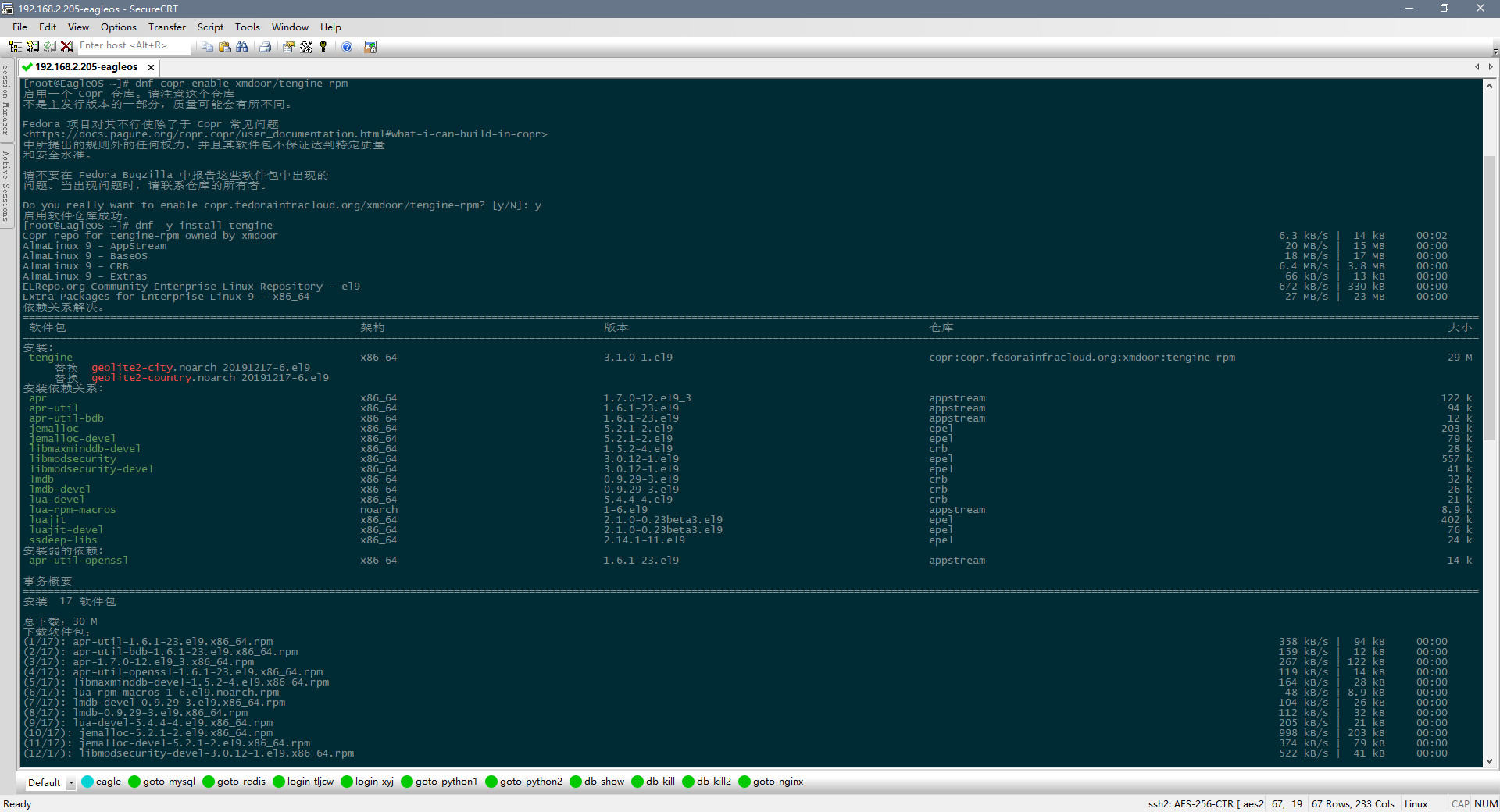Tengine-rpm 基于Tengine 3.1深度定制优化-CSDN博客