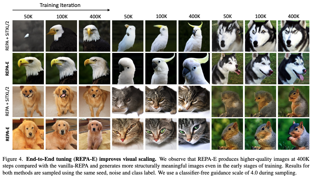 45倍加速+最新SOTA！VAE与扩散模型迎来端到端联合训练：REPA-E让VAE自我进化！_repa-e: unlocking vae for end-to-end tuning with ...