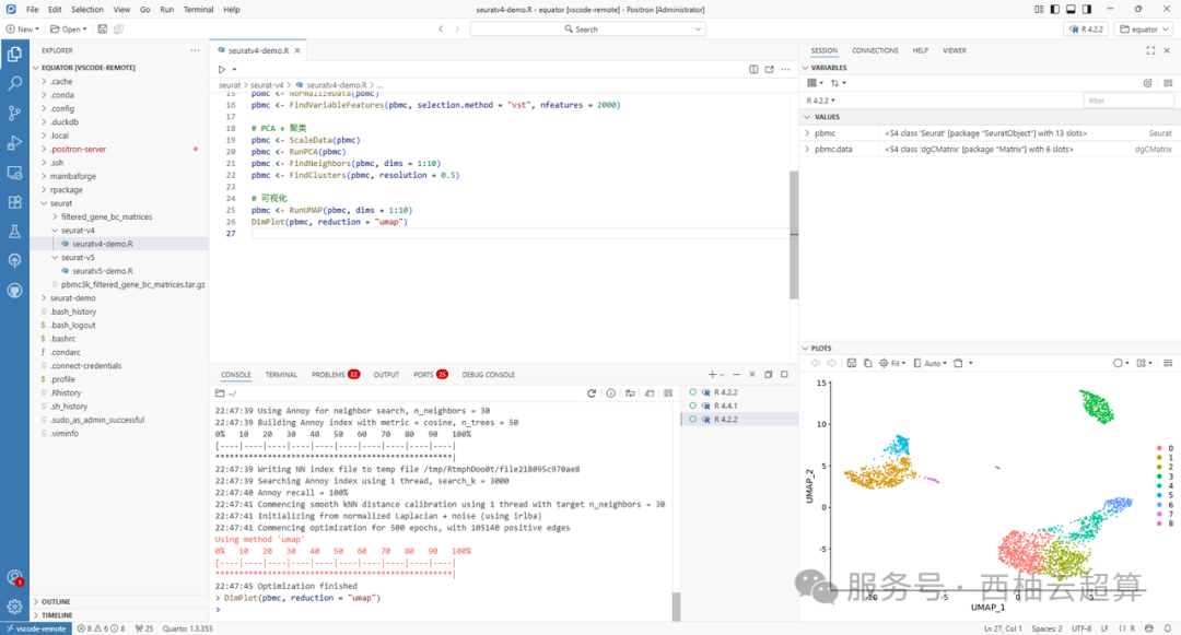 抛弃Rstudio后的Positron秘籍_如何获得positron在服务段运行的代码记录-CSDN博客