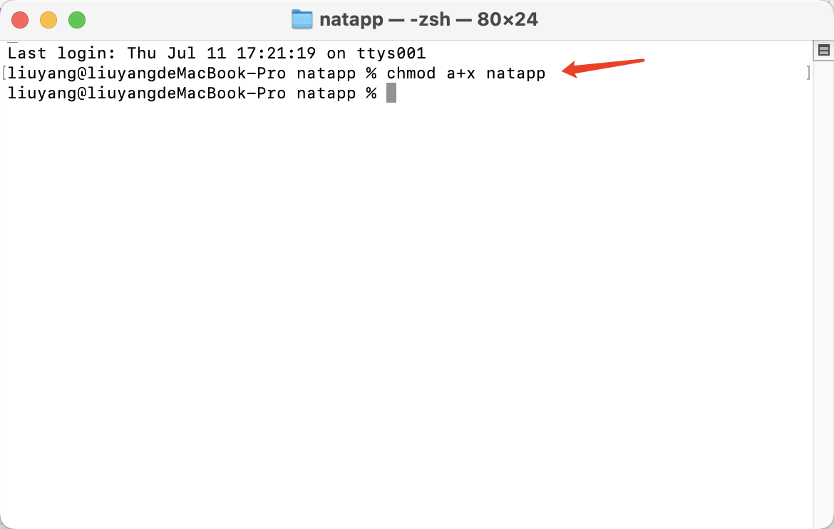 natapp 内网穿透_natapp内网穿透怎么做网站-CSDN博客