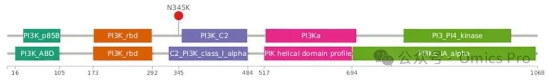 2025蛋白质序列分类数据库InterPro_interpro数据库-CSDN博客