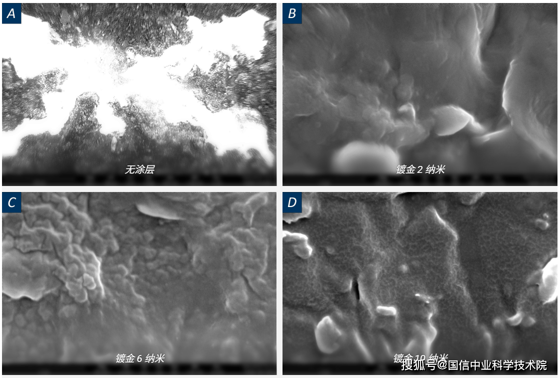 涂层厚度对扫描电子显微镜（SEM）成像的影响_sem喷金过厚-CSDN博客
