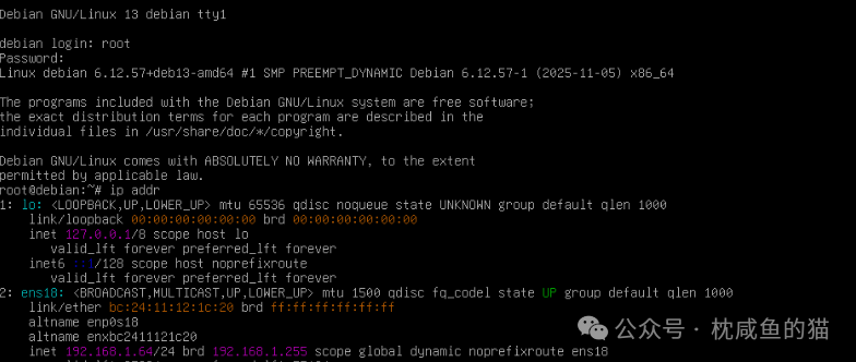 Proxmox Virtual Environment安装Debian13图文教程_pve 安装debian-CSDN博客