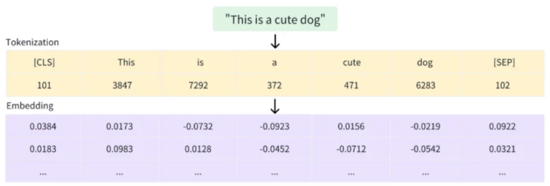 一文读懂 Embedding (嵌入)：概念解析 + 文本转 Embedding 全流程详解_文本embedding-CSDN博客