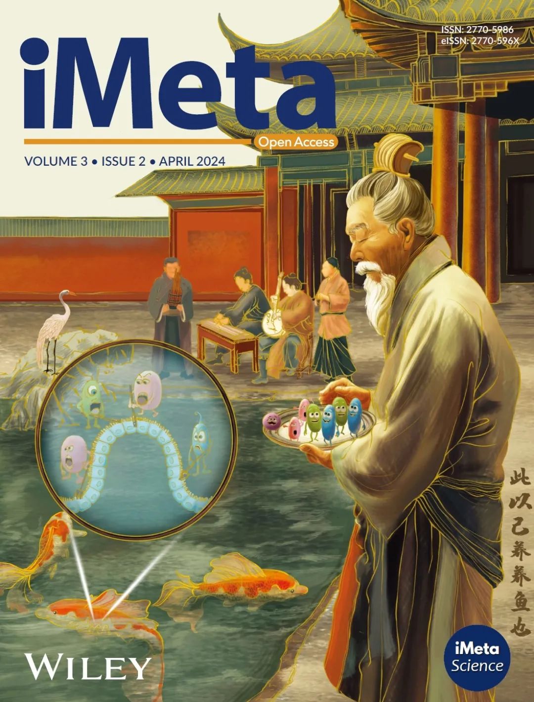 iMeta期刊中文宣传片(241118更新)-CSDN博客