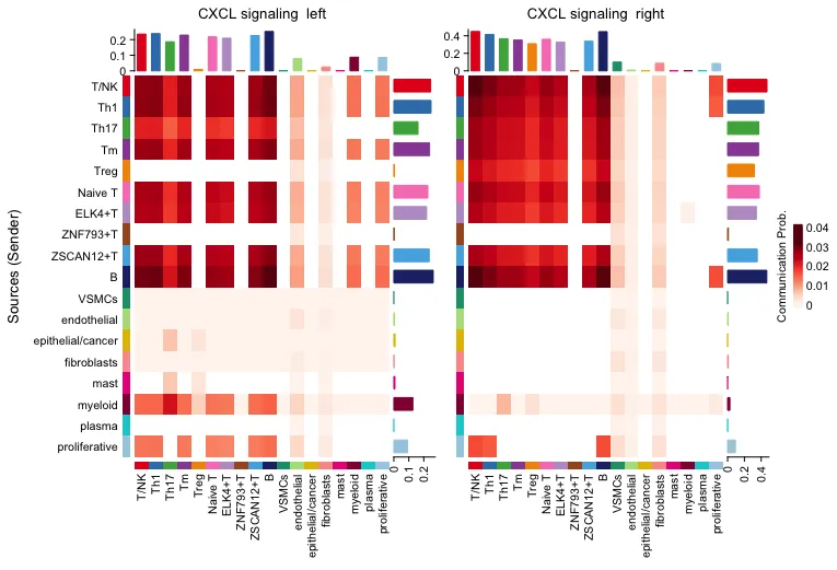 单细胞实战之cellchat——入门到进阶(高级篇1）_findenrichedsignaling-CSDN博客