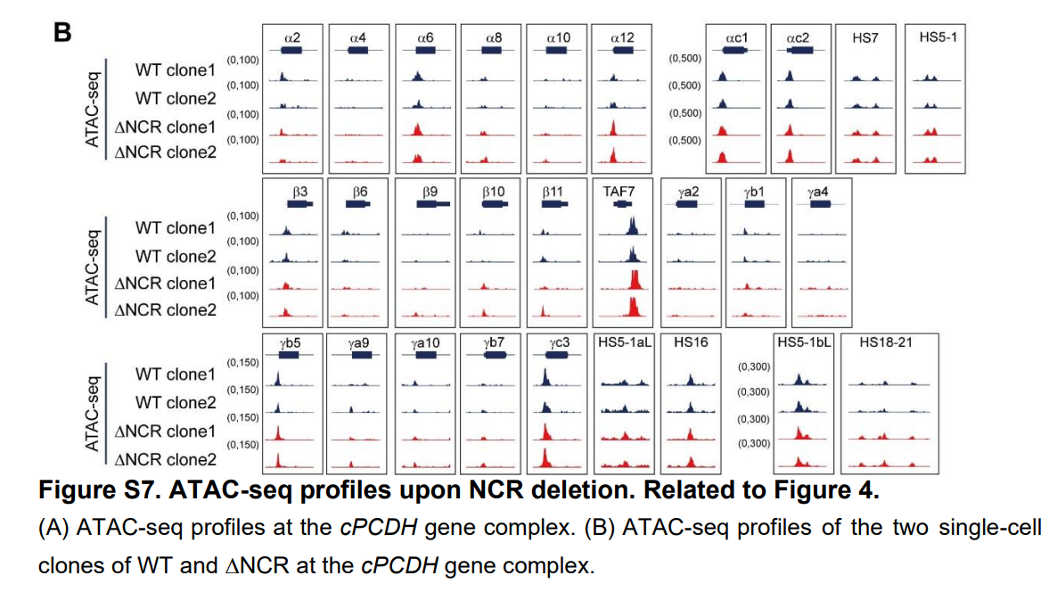 bigwig（bw）文件转换为bed文件：_bw文件转bed-CSDN博客