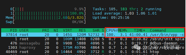 Docker + VPP强强联合：在Docker容器中玩转高性能VPP路由！-CSDN博客