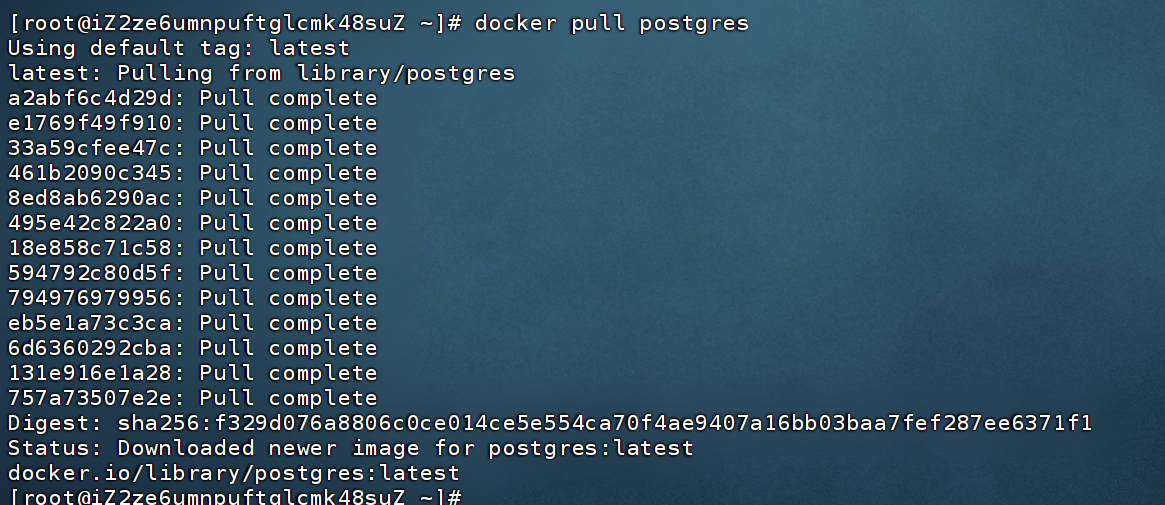 在Docker里面装PostgreSQL(保姆级别）_docker pull postgre-CSDN博客