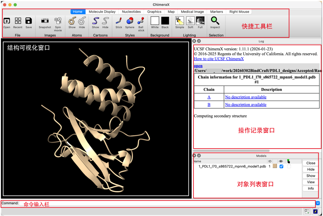 结构可视化还在用PyMOL？顶刊都在用ChimeraX了-CSDN博客
