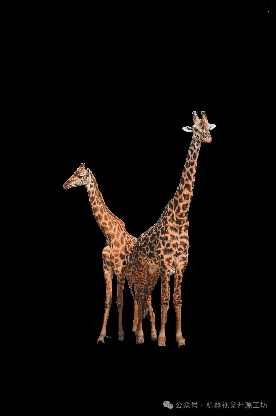 部署神器来了！nndeploy开源，工业大模型轻松装！-CSDN博客