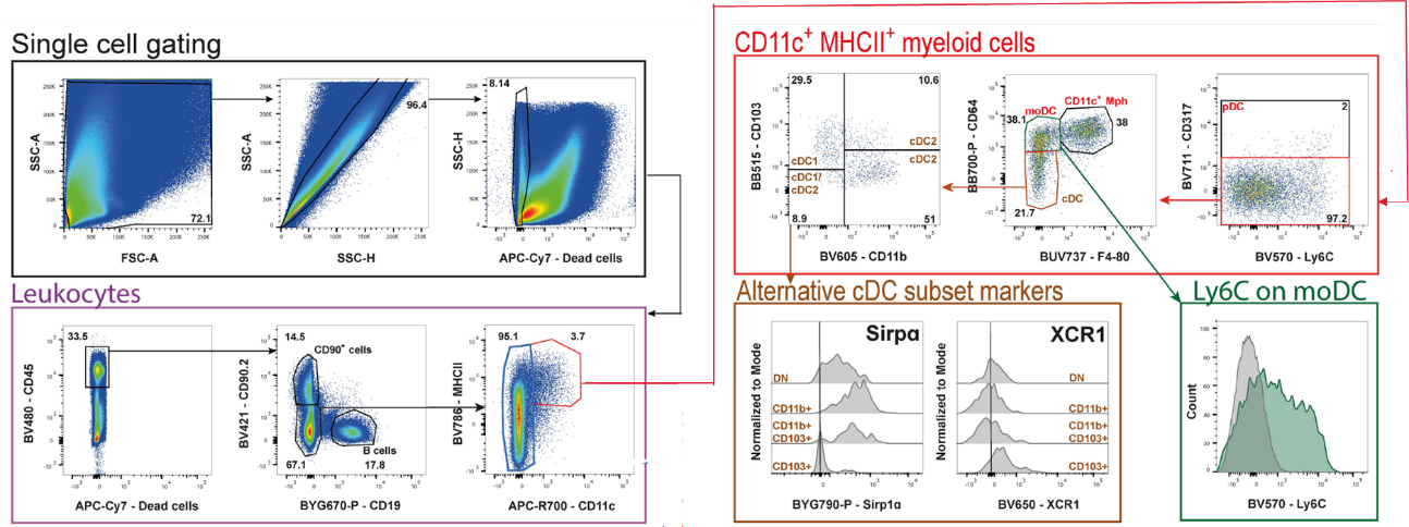 DC cell culture strategy-CSDN博客
