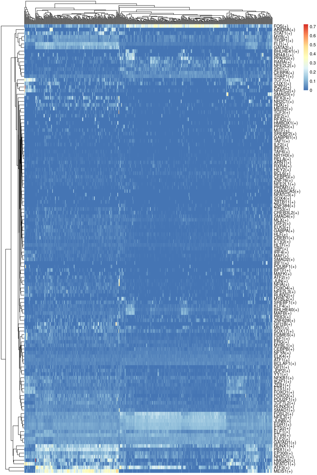 非模式物种PySCENIC分析流程_pyscenic教程-CSDN博客