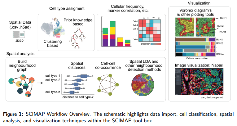 对感兴趣区域 (ROI) 进行空间分析！？这个空转工具值得在自己的数据上试试（SCIMAP库）-CSDN博客