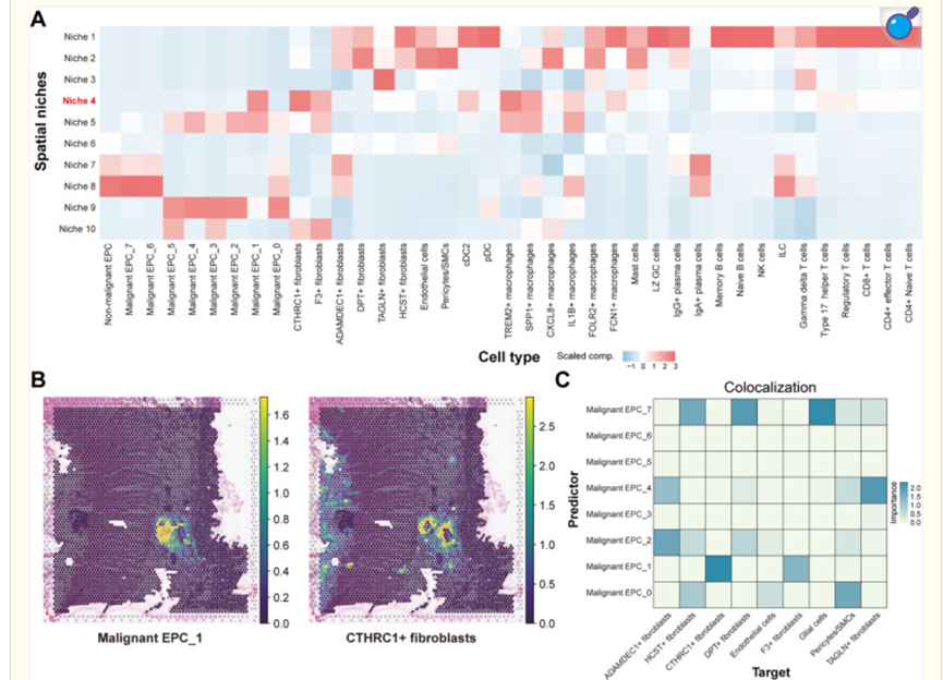 空间多组学五大算法：cell2location + mistyR + Hotspot 精准解锁组织微环境，高分文章标配！-CSDN博客