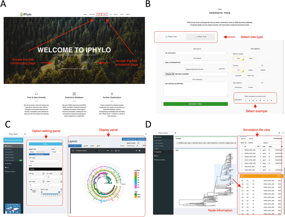 BiB | 浙大蒋超组开发iPhylo平台推动生物与化学分类学的整合分析-CSDN博客