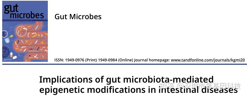 易基因：微生物学领域Top期刊《Gut Microbes》聚焦肠道菌群-表观遗传互作：解码肠道疾病发生新机制_肠道菌群的表观遗传修饰-CSDN博客