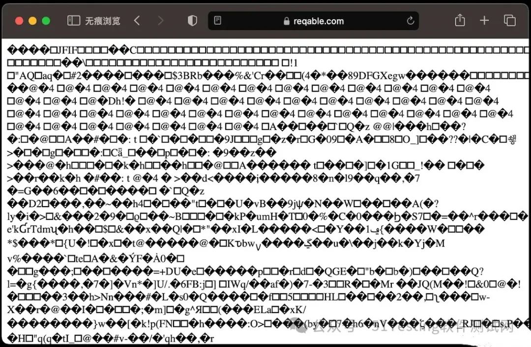 如何使用Reqable脚本功能提高API开发效率_reqable软件删除系统配置缓存-CSDN博客