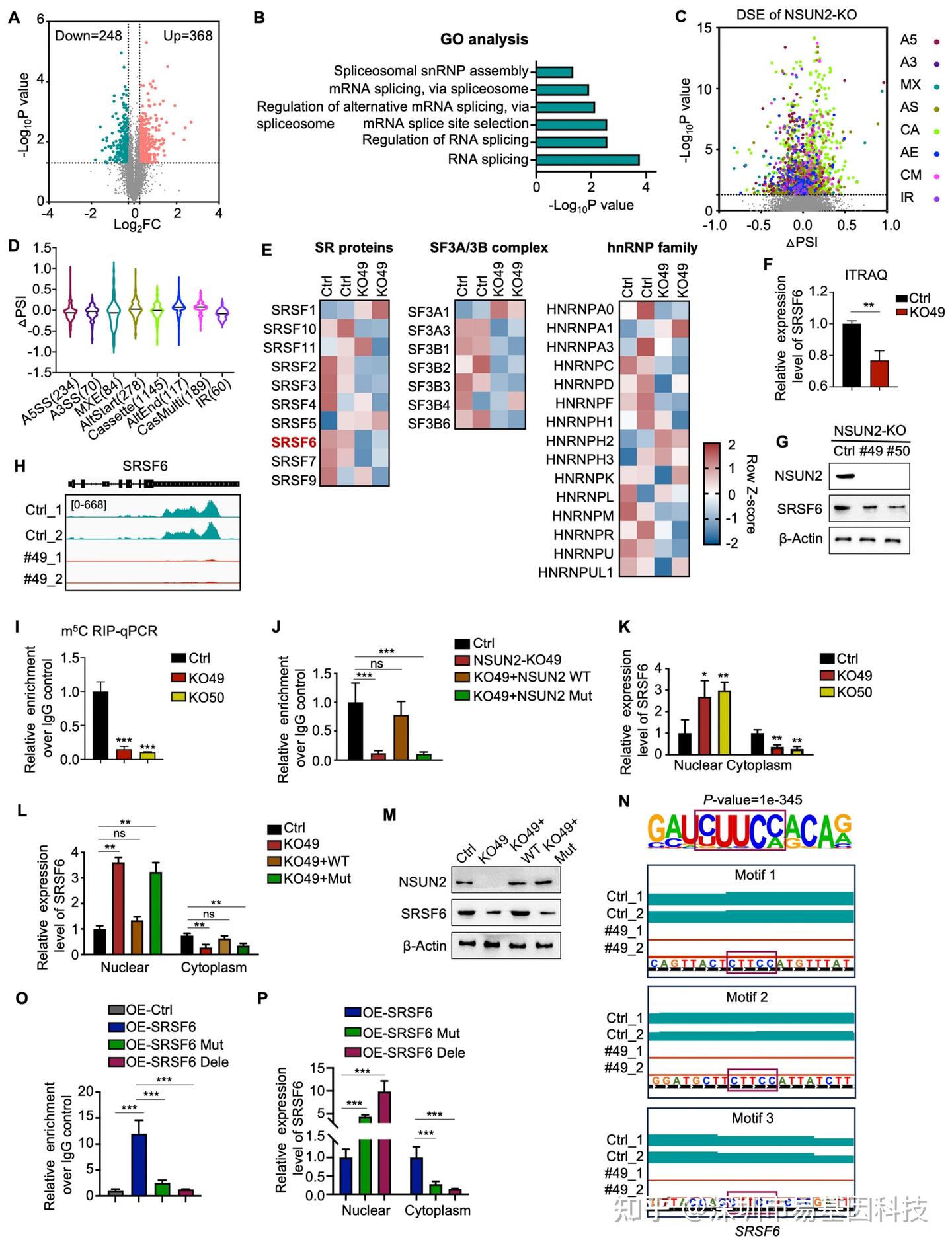 易基因：天津医科大郑向前团队MeRIP-seq等揭示m5C修饰在癌症耐药中的关键调控机制：Theranostics/IF12.4_被敲除基因 通过修饰 kegg go-CSDN博客